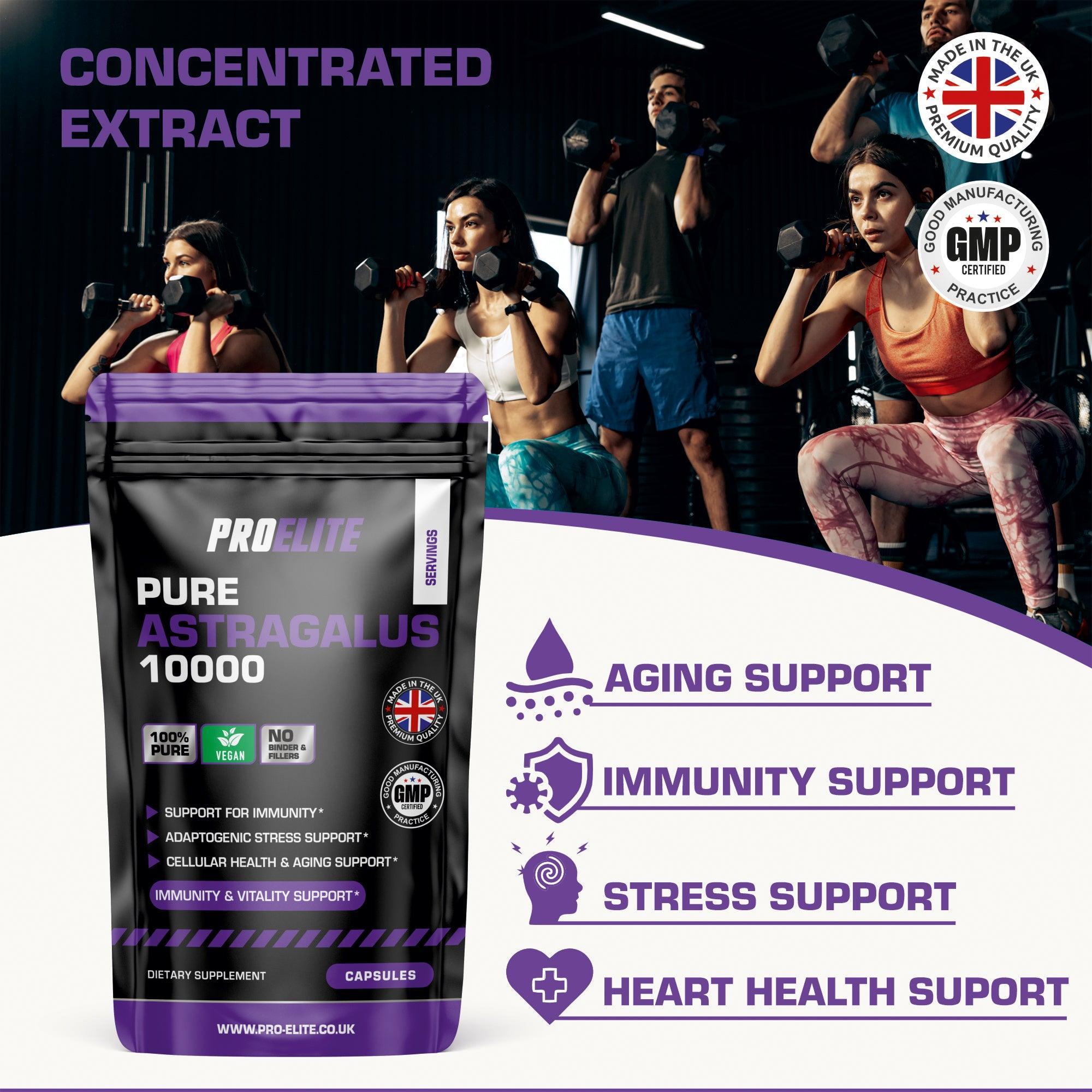 Buy PROELITE Astragalus Capsules | London Supplements